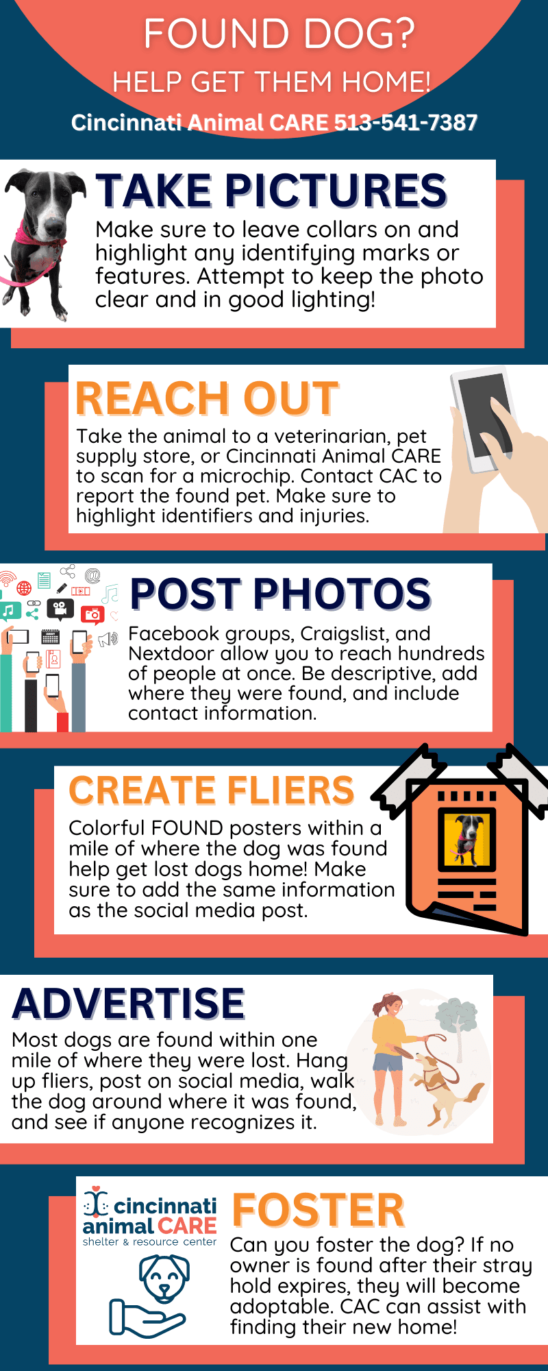 Find a Stray? Here's what you should do next.