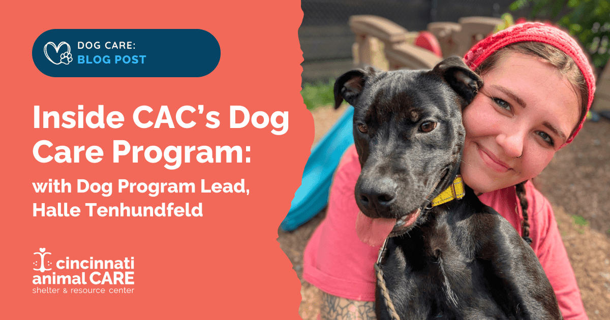 Heartfelt Tales from the Frontlines: Inside CAC's Dog Program with ...