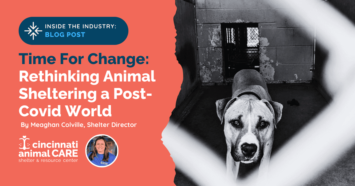 Dog Care - Cincinnati Animal CARE