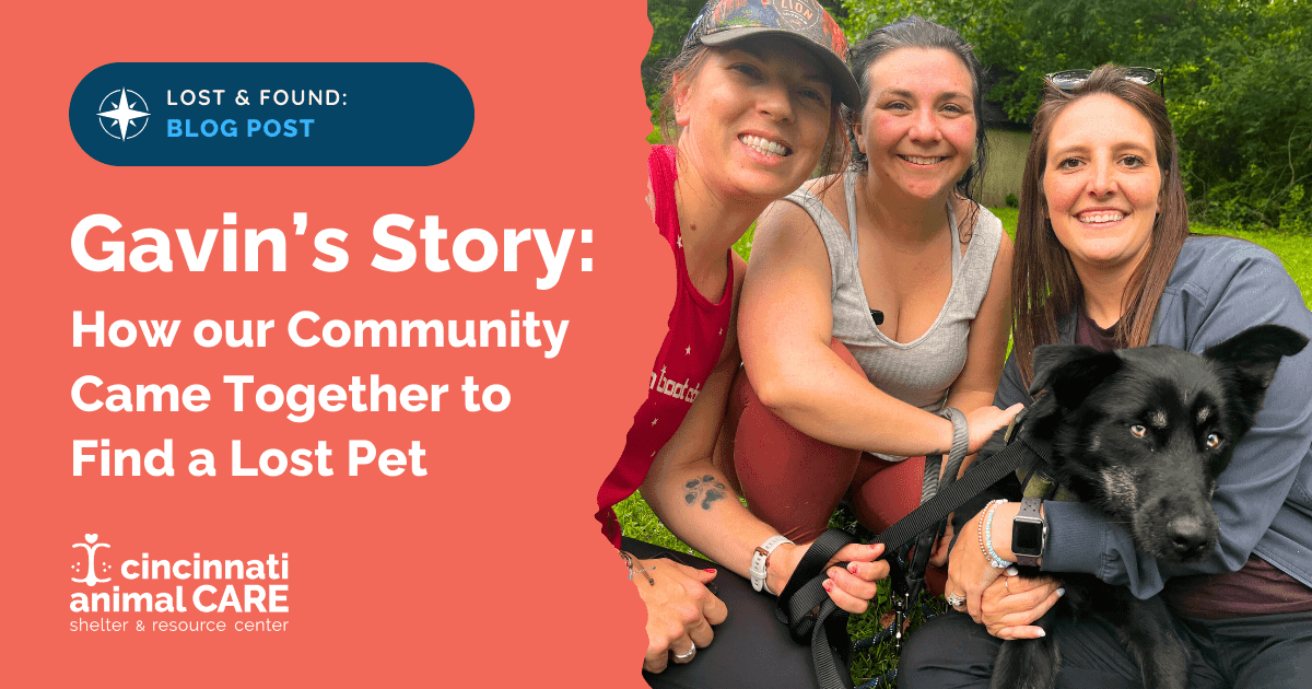 Gavin's Story: Community Unites to Find Lost Pet | Cincinnati Animal CARE