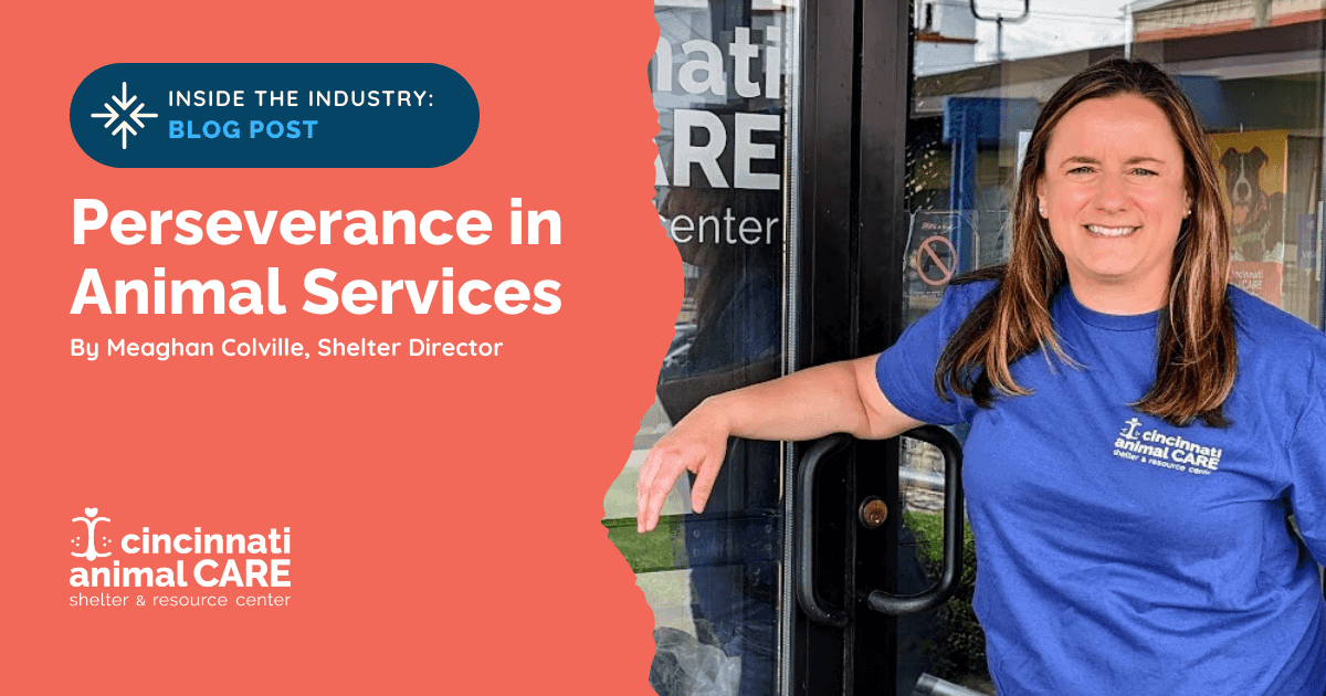 Perseverance in Animal Services | Cincinnati Animal CARE