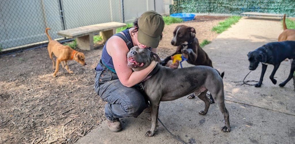 Behavior and Training Volunteer - Cincinnati Animal CARE