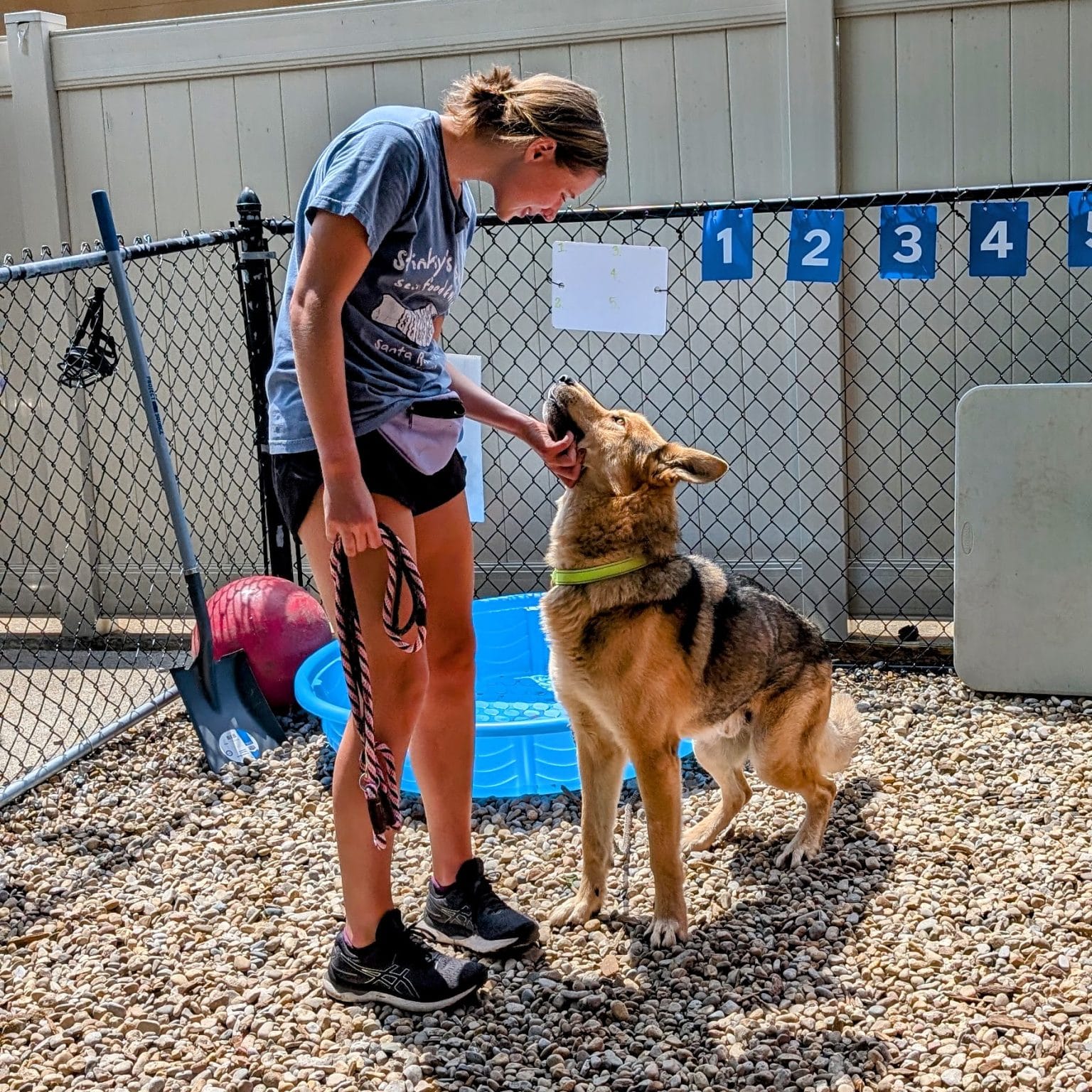 Behavior and Training Volunteer - Cincinnati Animal CARE