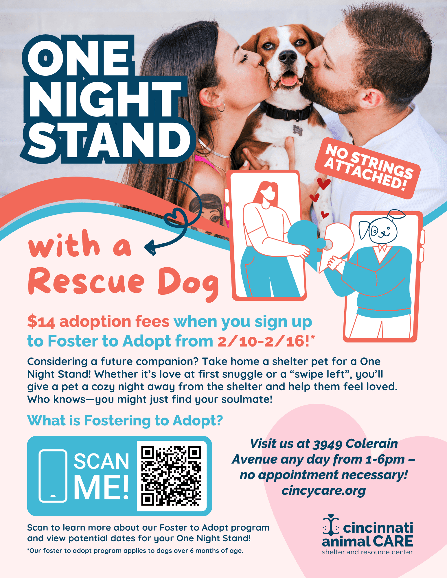 One Night Stand with a Rescue Dog: Foster to Adopt for $14 ...