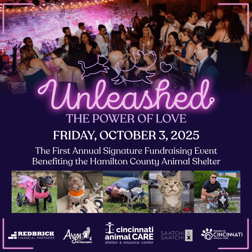 Understanding Outdoor Cats: Feral, Stray, and Community Cats Explained ...