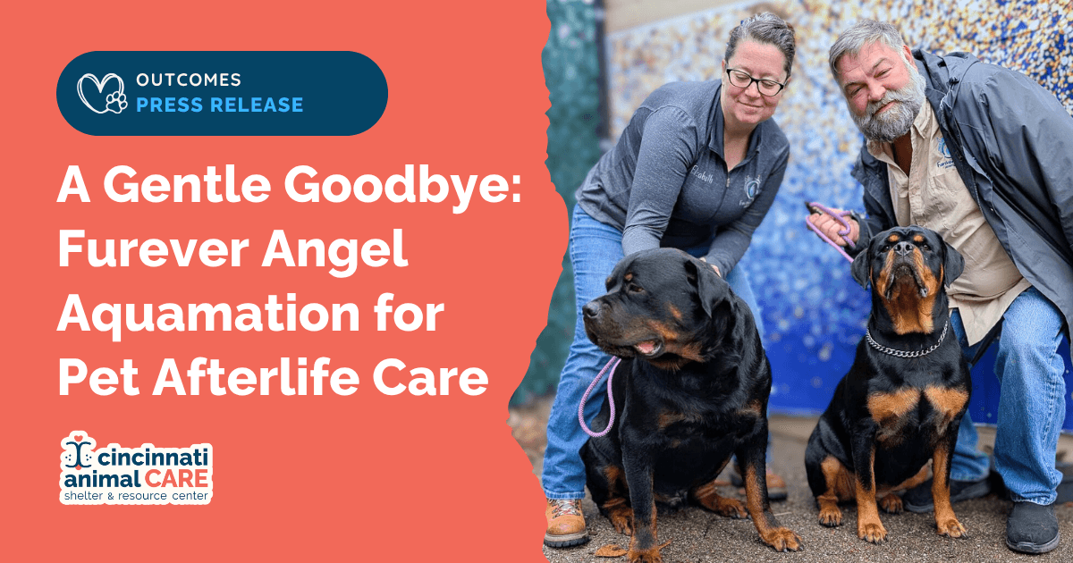 A Gentle Goodbye: Furever Angel Aquamation for Pet Afterlife Care ...