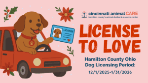 Get a Dog License for Your Pet in Hamilton County, OH
