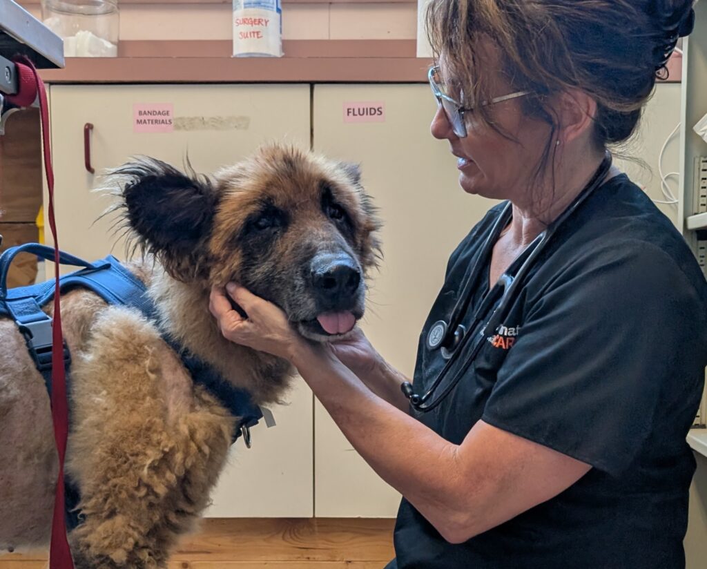 Community CARE Veterinary Clinic - Cincinnati Animal CARE